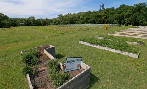 PODCAST: How This College Football Field Was Turned Into an Urban Farm ...